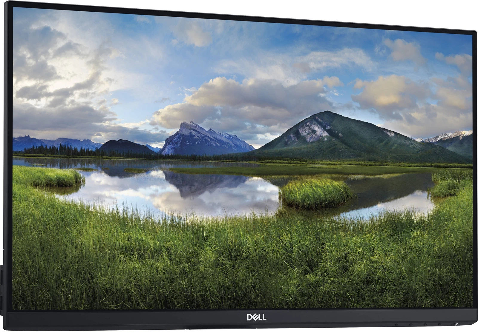 Monitor DELL Professional P2419HC 24'' HDMI FULL HD BEZ STOPKI A ...